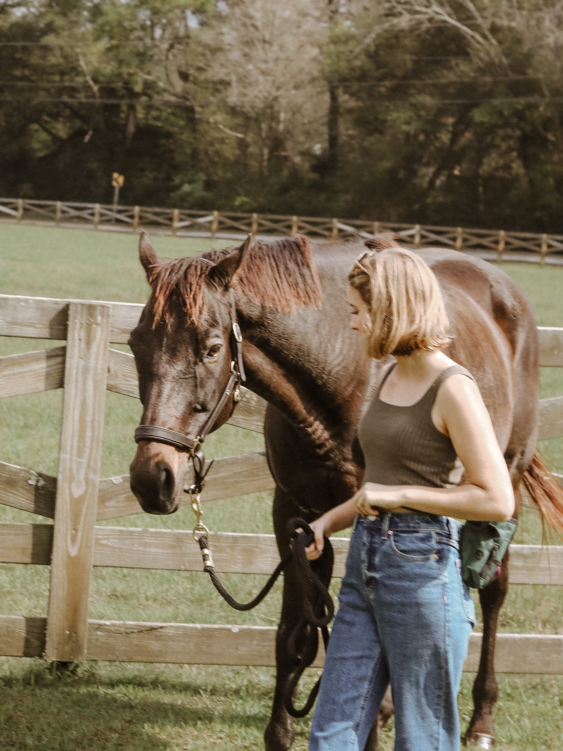 Fun Things to do THIS Fall as an Equestrian! - The Valiant Equestrian