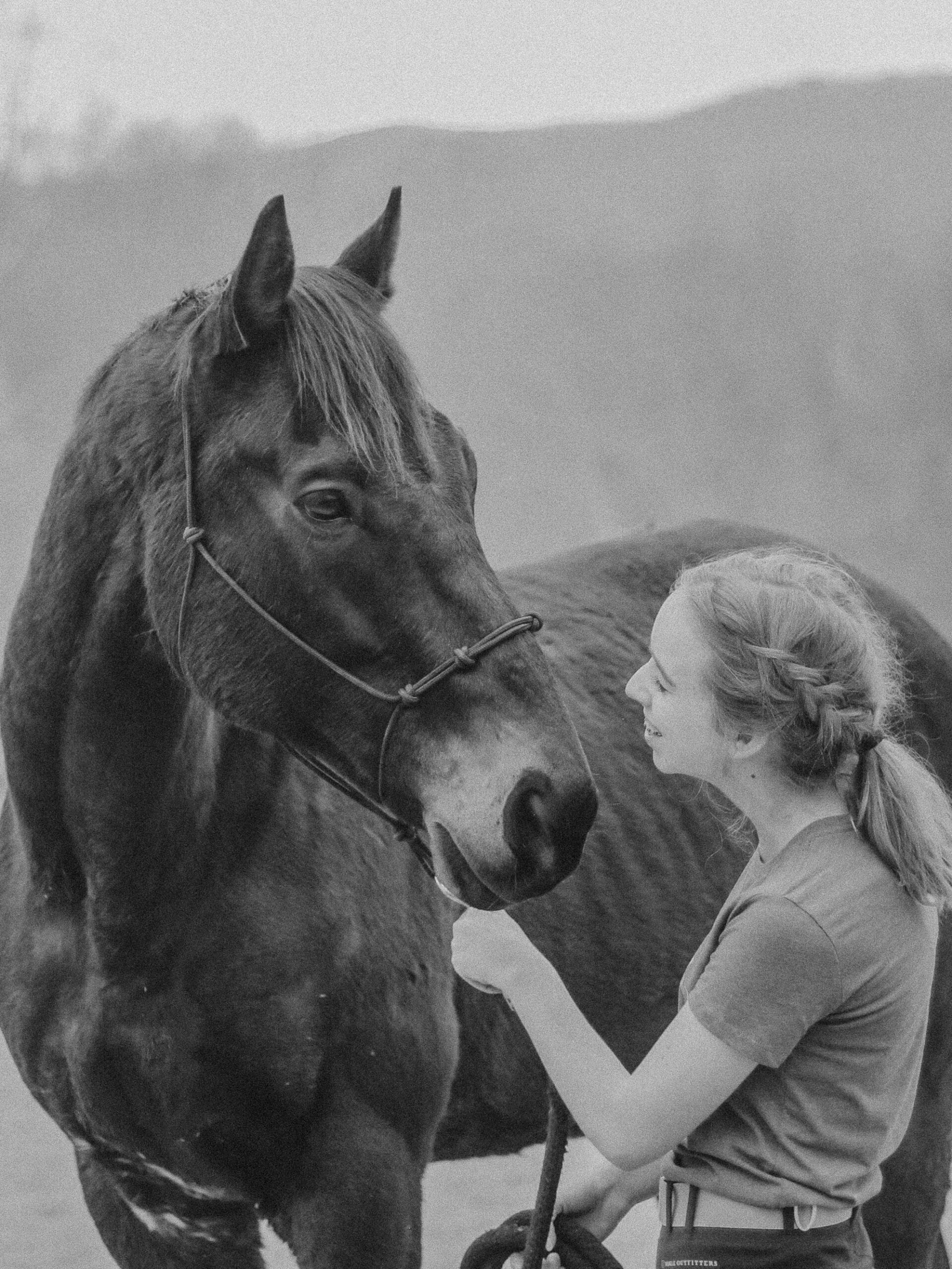 About - The Valiant Equestrian