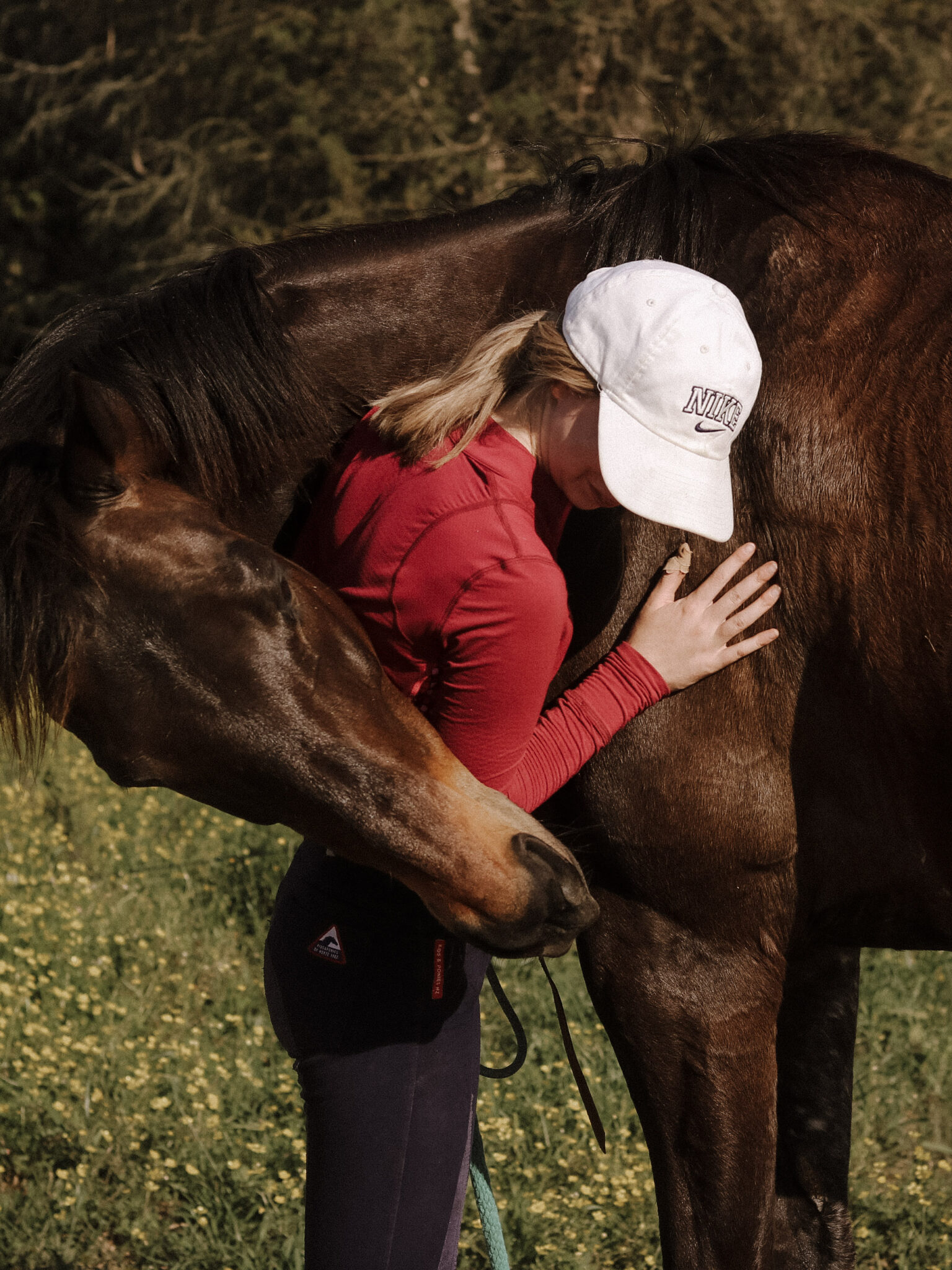 Empathy in the Equestrian World - The Valiant Equestrian
