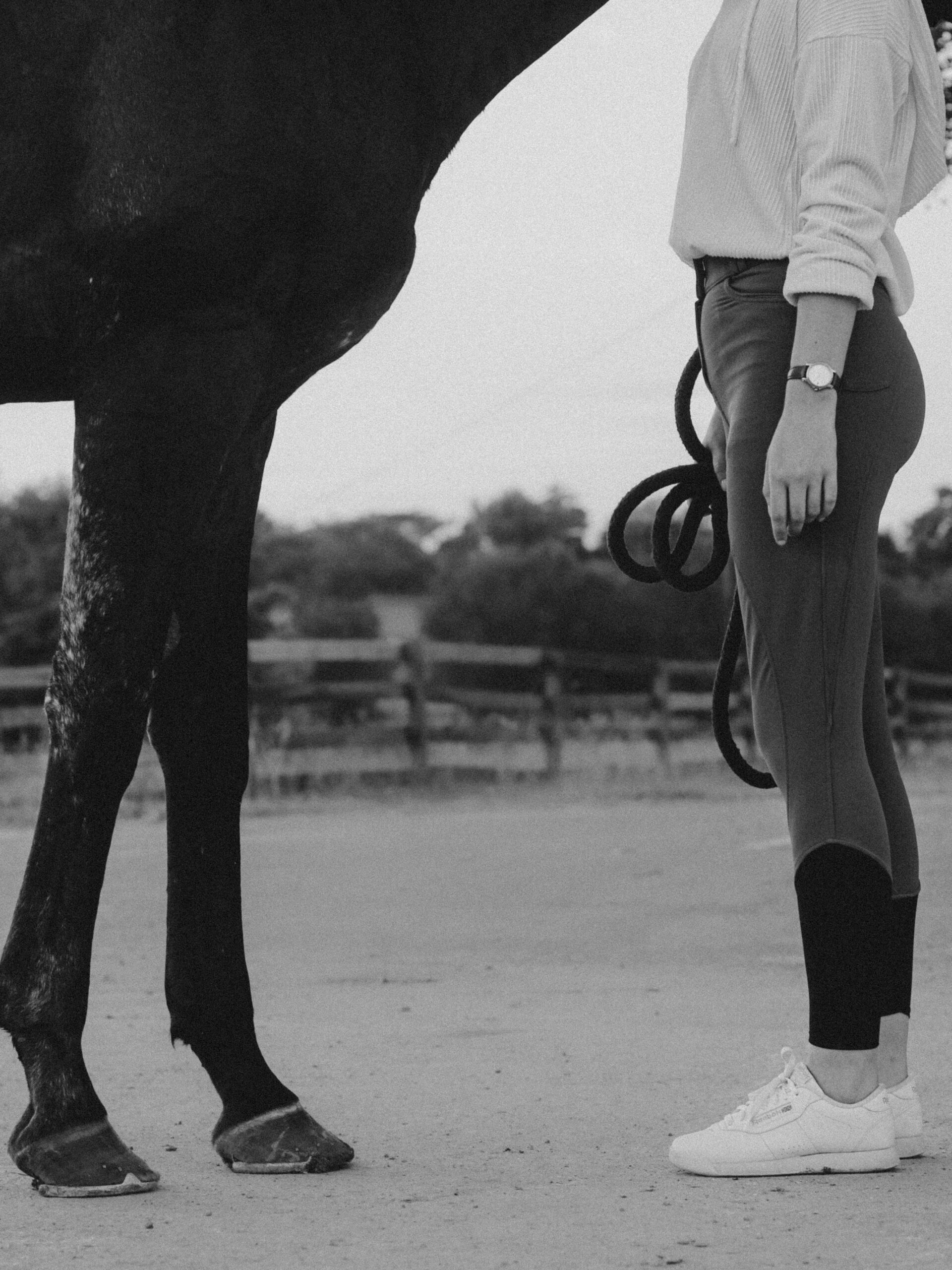 Collaborations - The Valiant Equestrian