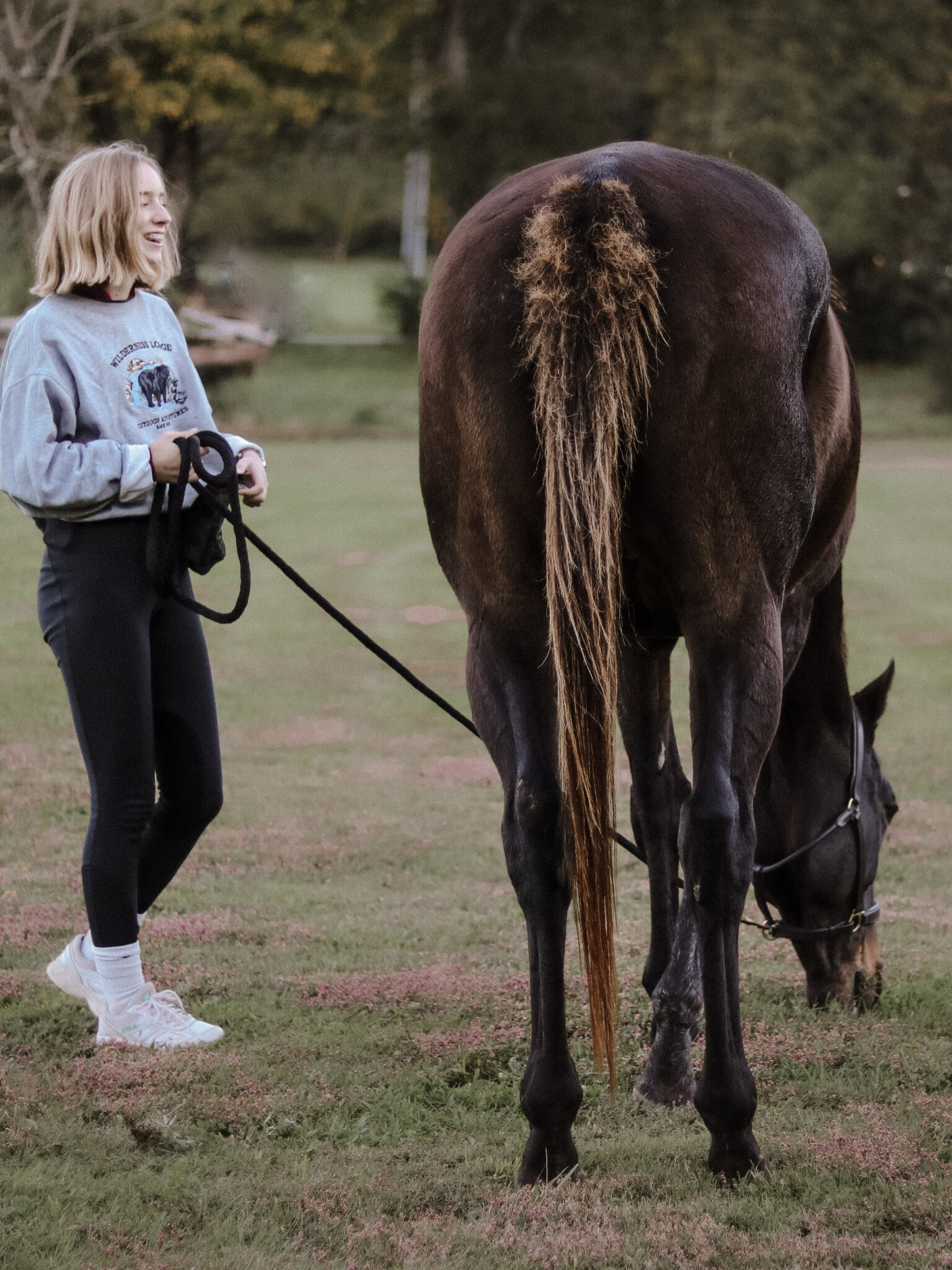 Things to do When You CAN'T Ride Your Horse - The Valiant Equestrian
