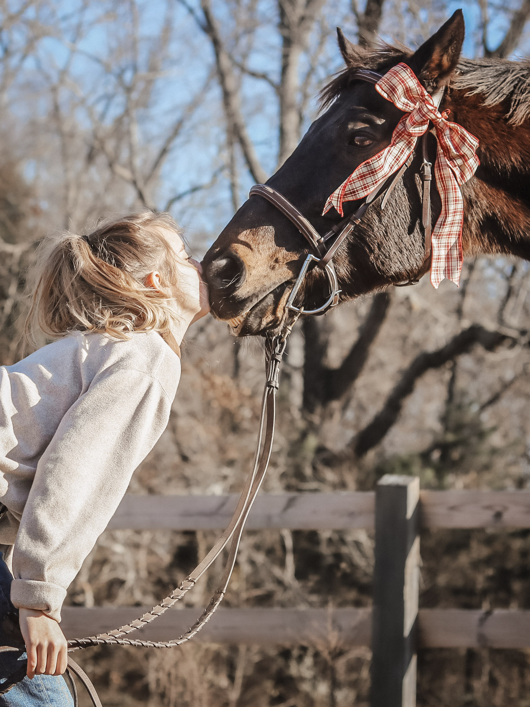 Holiday Gift Guide for Equestrians! - The Valiant Equestrian