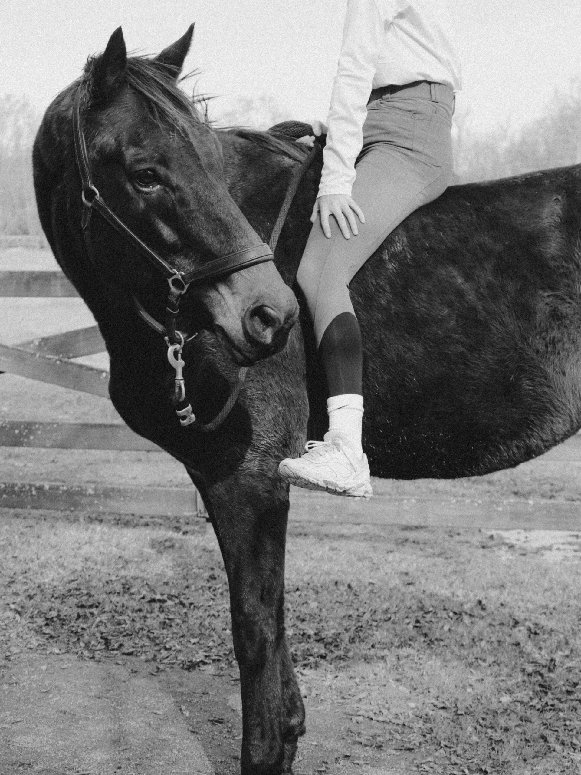 Ways to Get a Sturdy Lower Leg as an Equestrian - The Valiant Equestrian