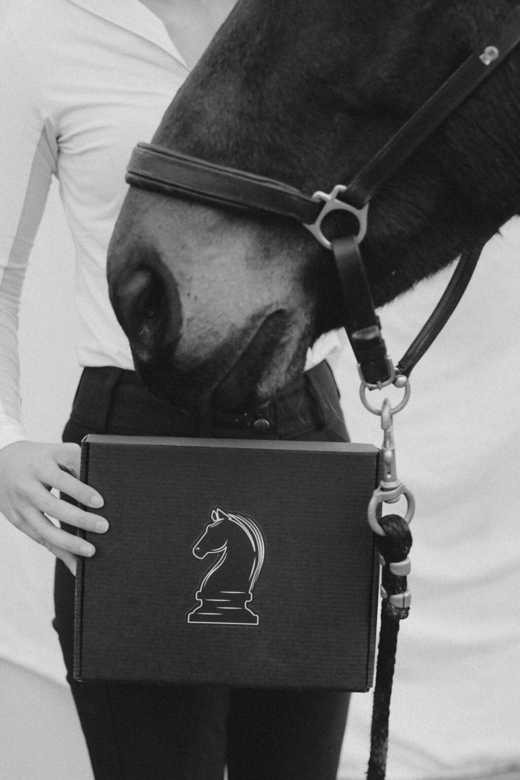 The Valiant Equestrian Subscription Box - The Valiant Equestrian