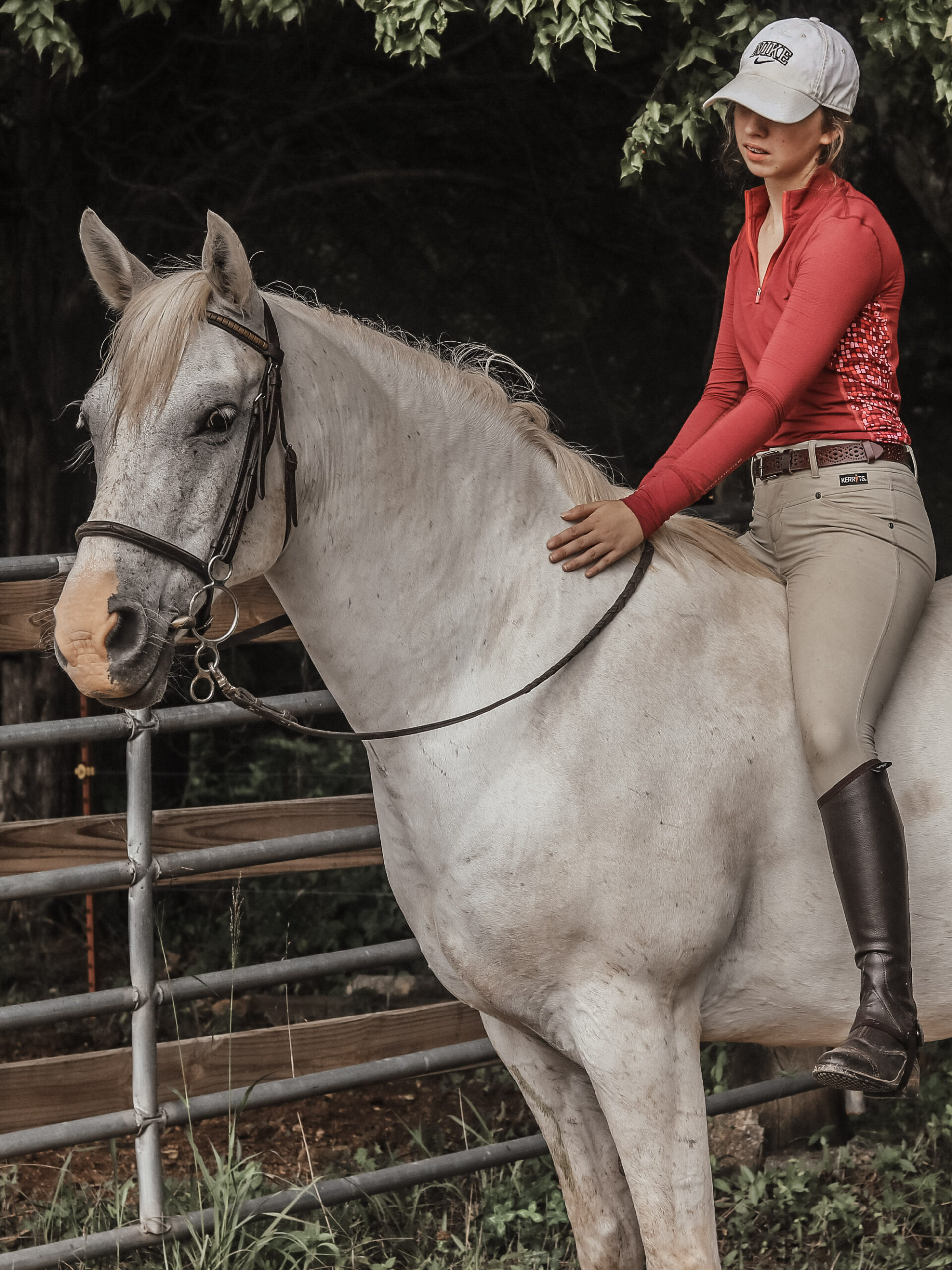 How to Become a Confident Equestrian! - The Valiant Equestrian
