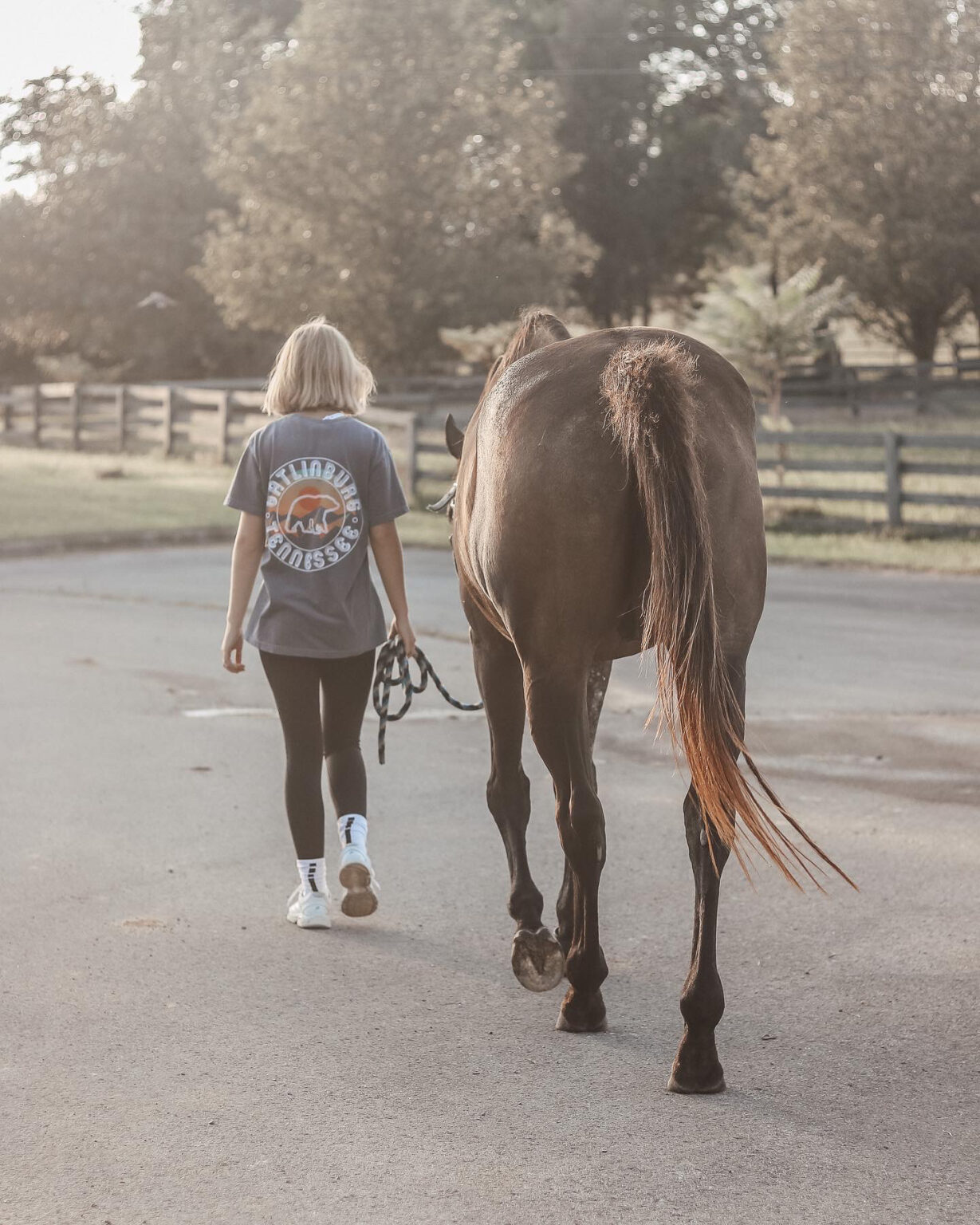 How to Set Goals as an Equestrian - The Valiant Equestrian