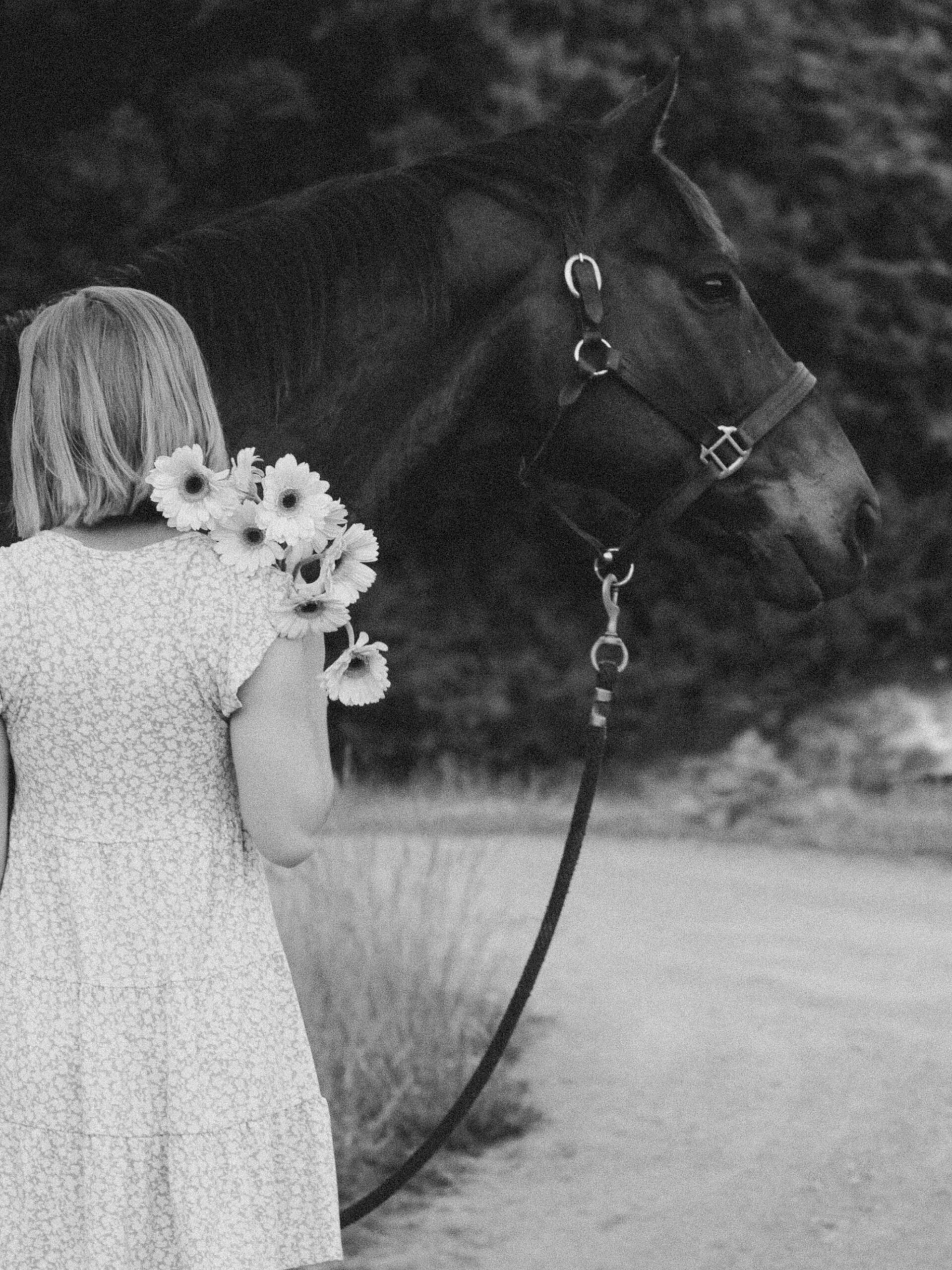 Fun Things to do with Your Horse this Spring! - The Valiant Equestrian