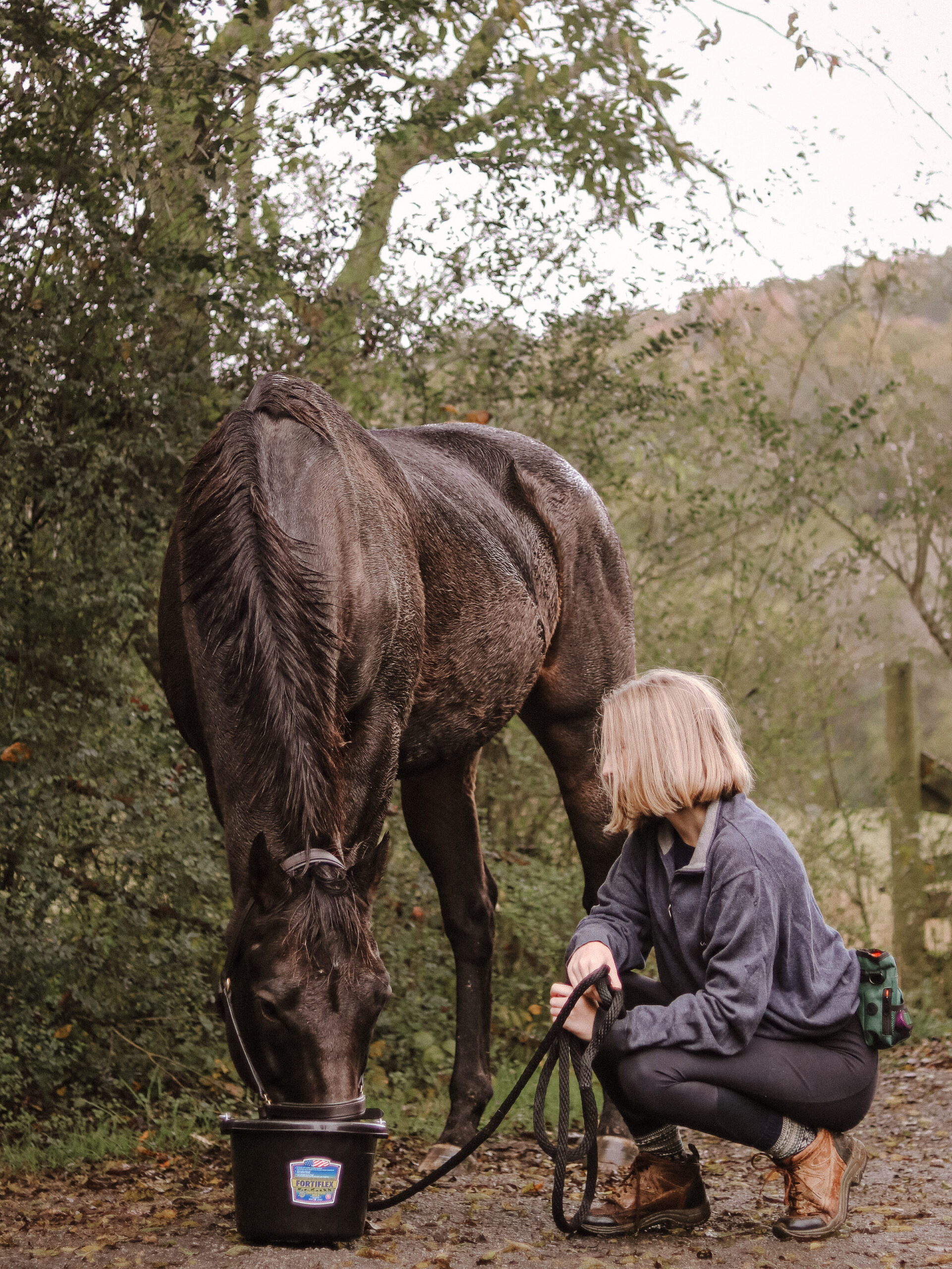 The Key to Balancing Life and Horses - The Valiant Equestrian