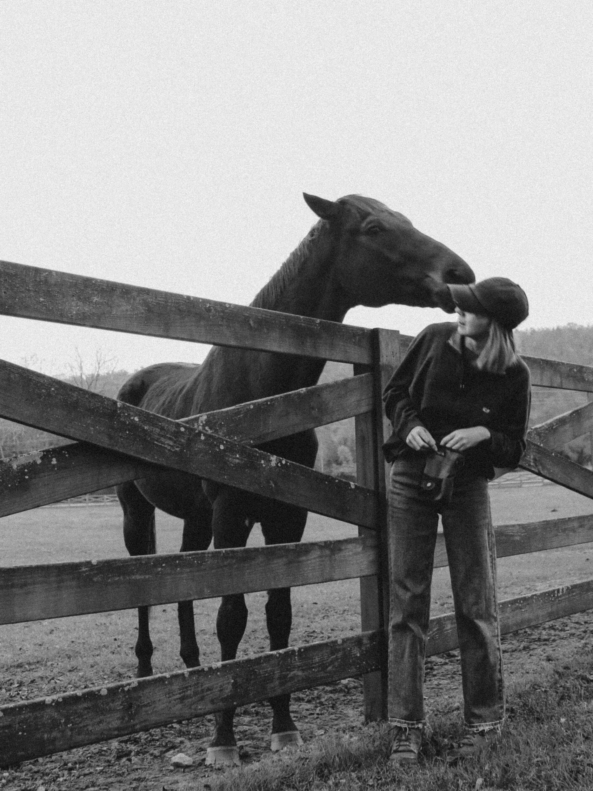 How to Become an Equestrian Influencer: The Ultimate Guide