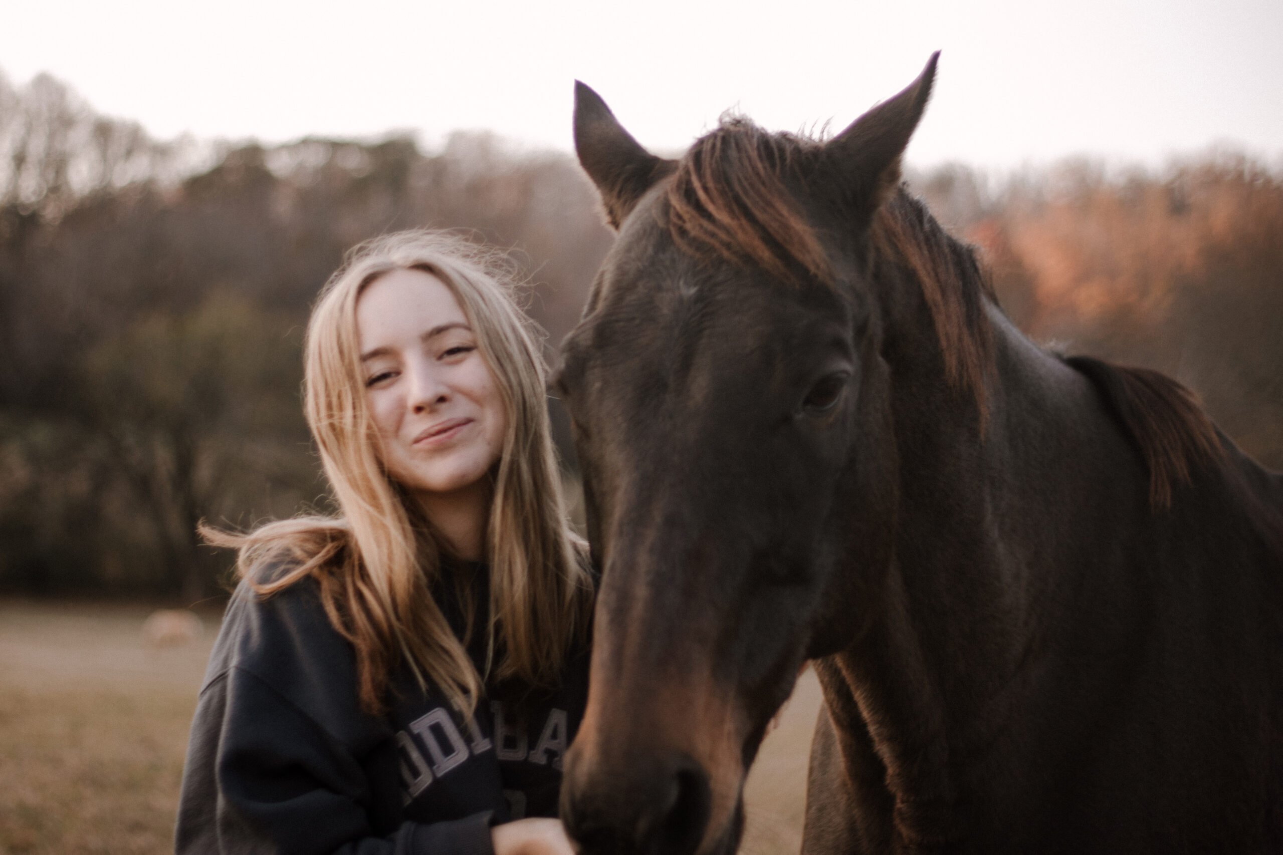 Exciting Things to do as an Equestrian THIS Winter!