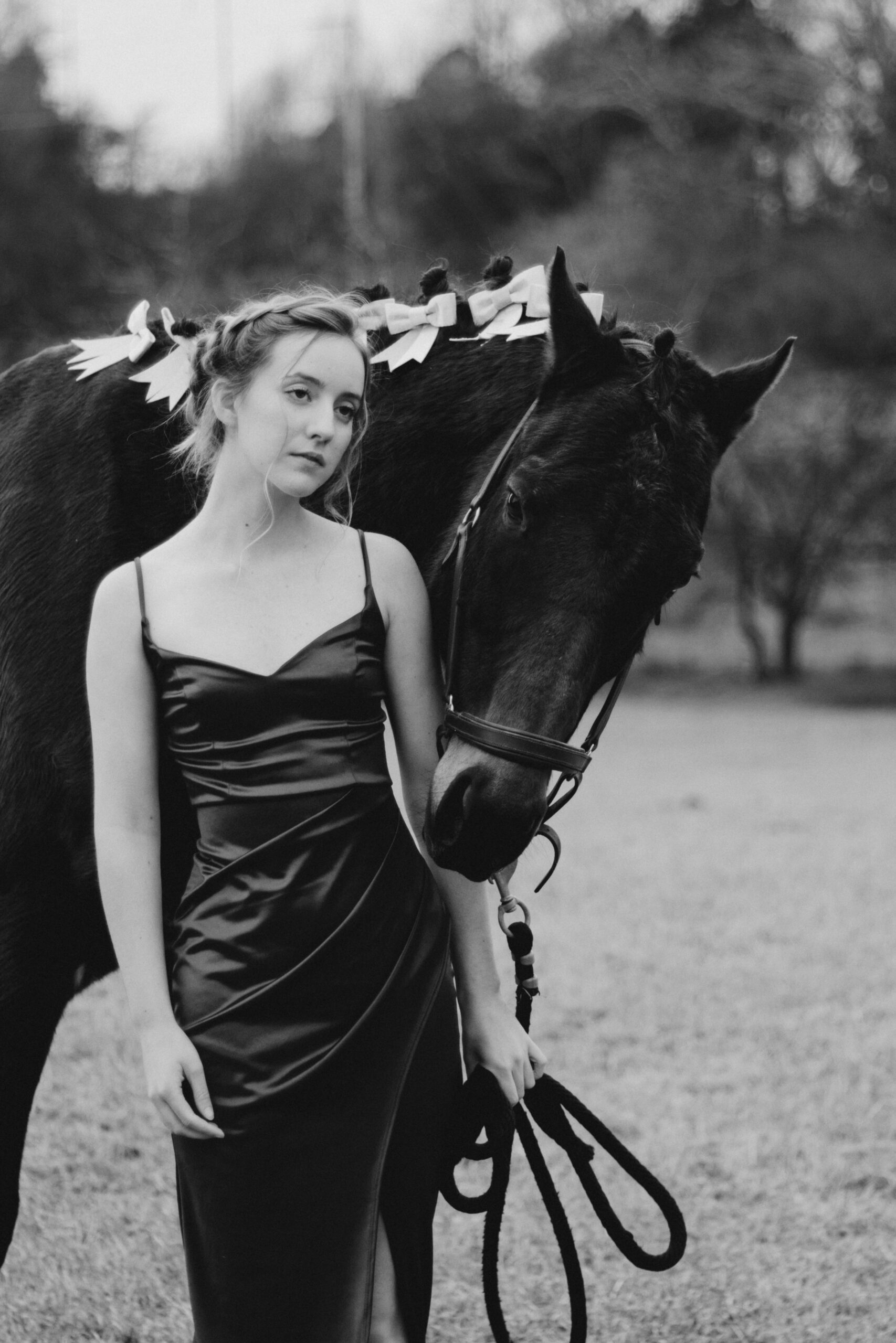 How to Take Killer Photos with Your Horse! - The Valiant Equestrian