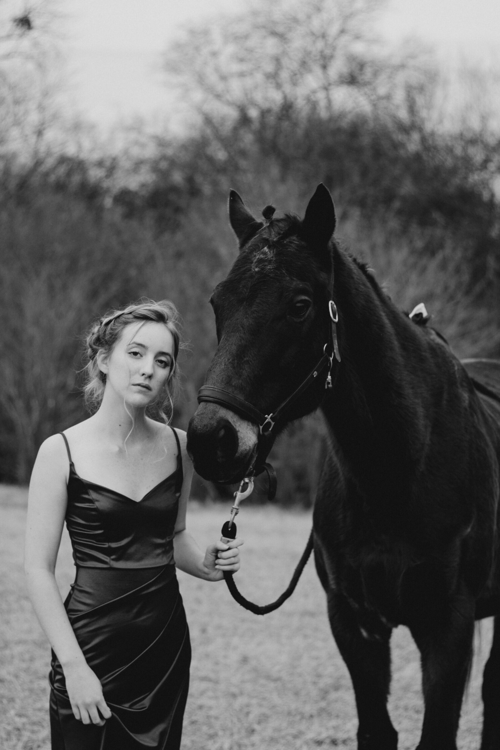 How to Take Killer Photos with Your Horse! - The Valiant Equestrian