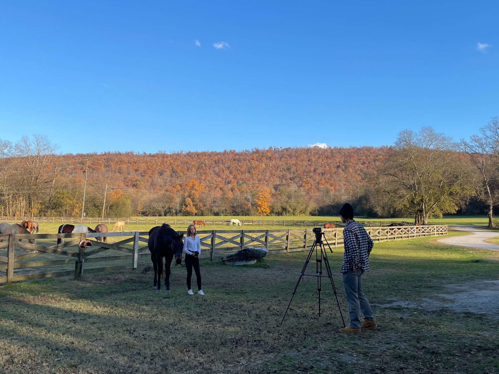 The Best Equestrian Content Ideas! - The Valiant Equestrian