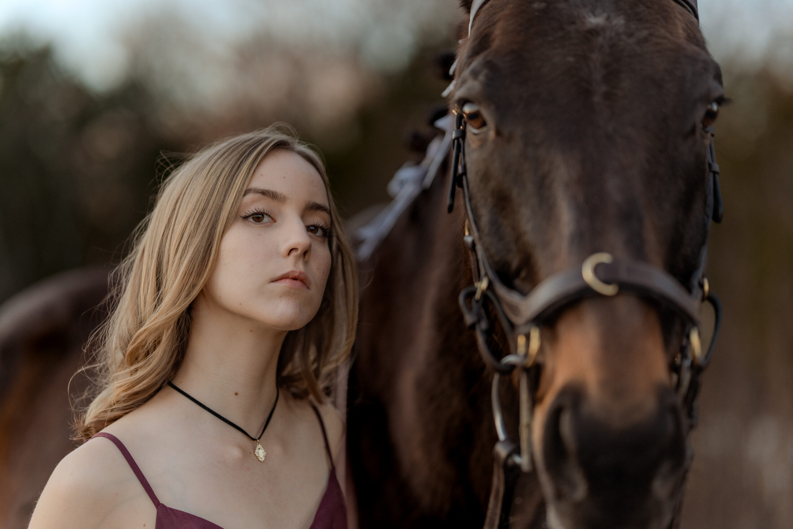 About - The Valiant Equestrian