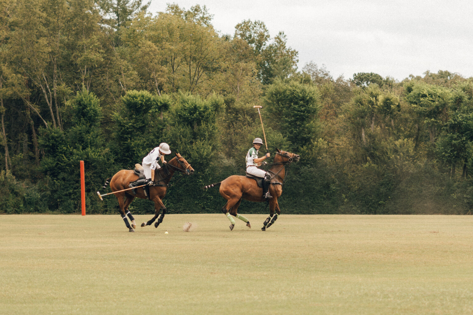 Riding your Horse Bareback: The Ultimate Guide