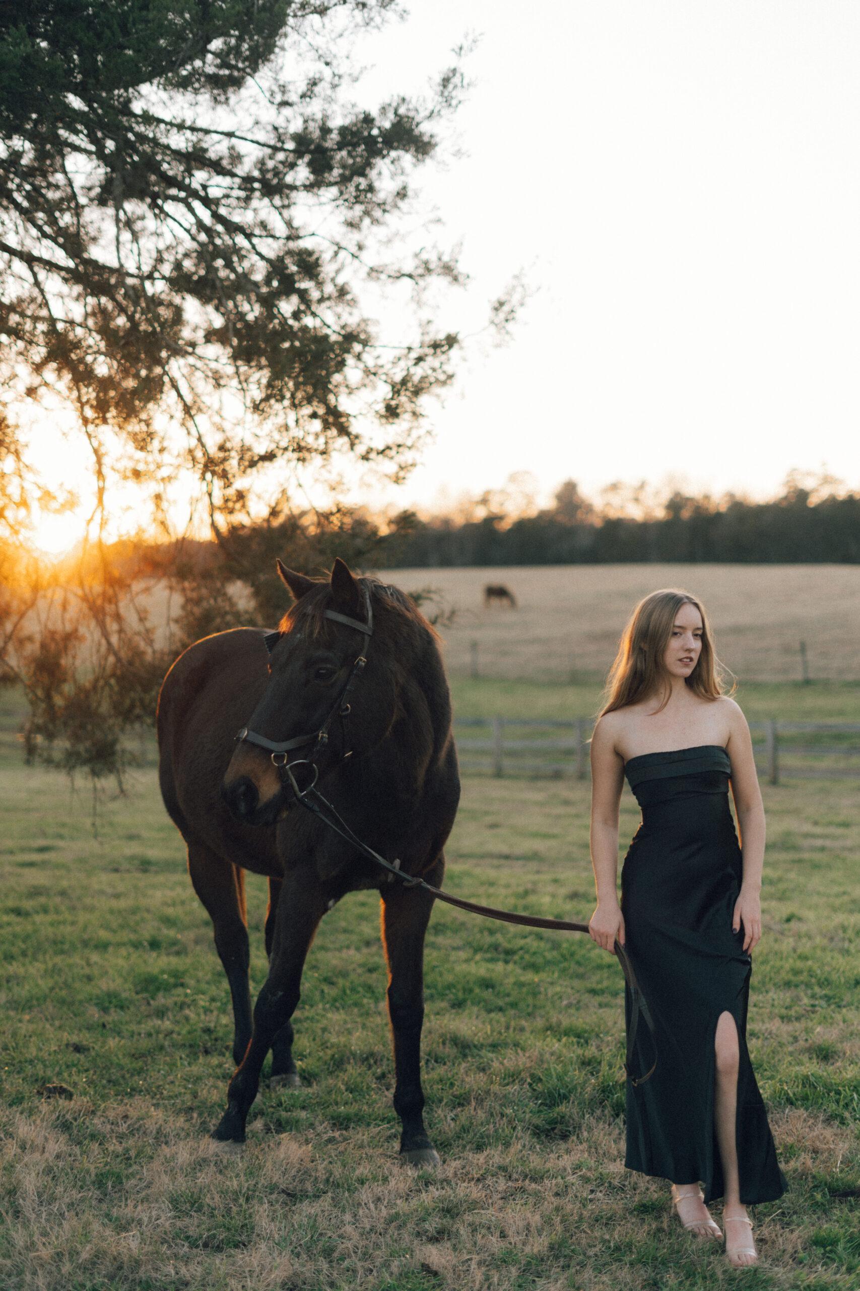 How to Style Your Equestrian Photoshoots: Fashion and Photography