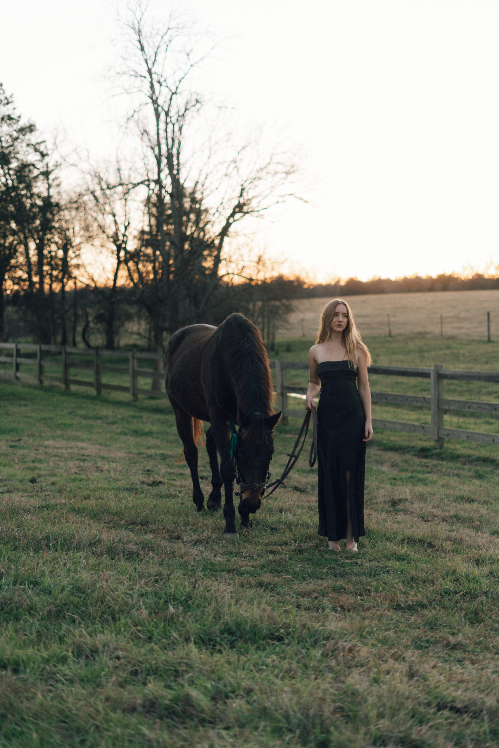 About - The Valiant Equestrian
