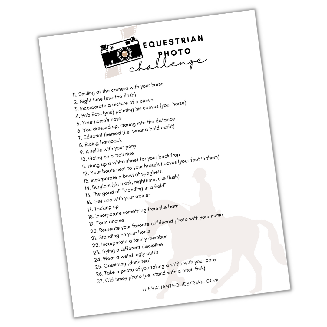 Equestrian Photo Challenge - The Valiant Equestrian